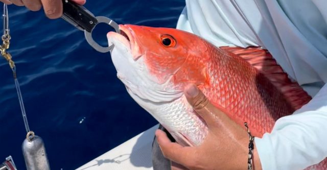 Home - Return 'Em Right