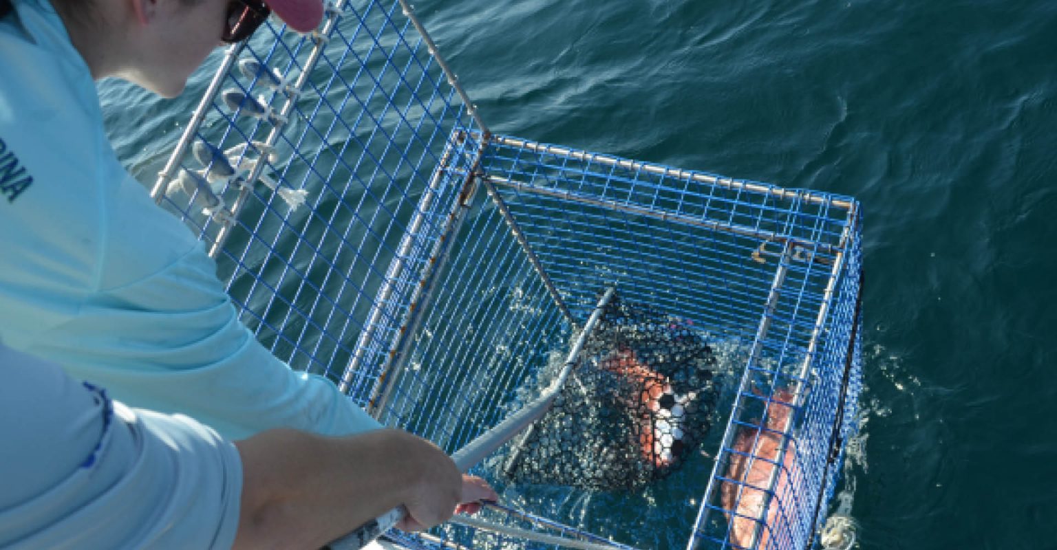 Barotrauma - Return 'Em Right