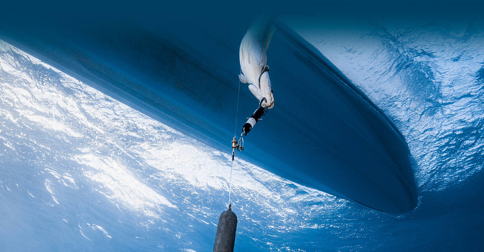 Images - Return 'Em Right