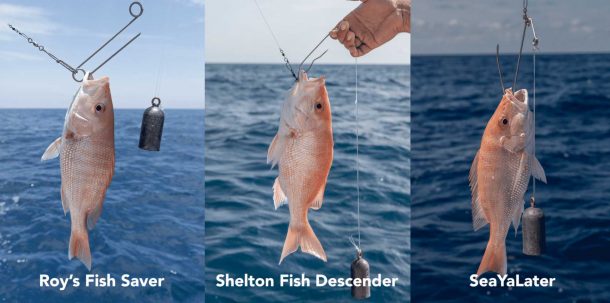 Depredation and Descending: Protecting Fish and Boosting Survival