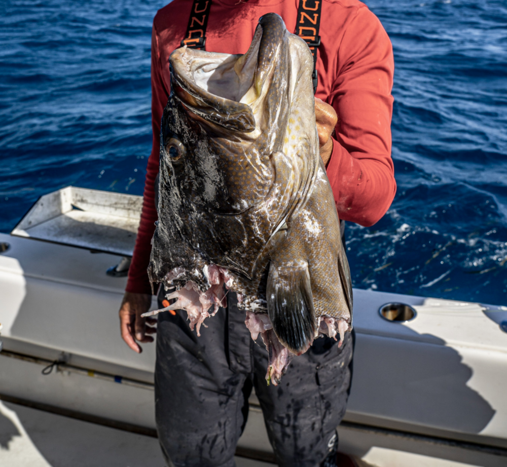 Depredation and Descending: Protecting Fish and Boosting Survival